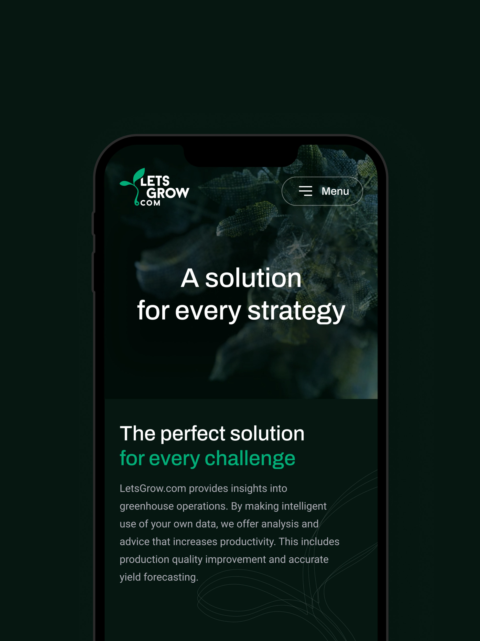 Website voor LetsGrow • Studio Brabo